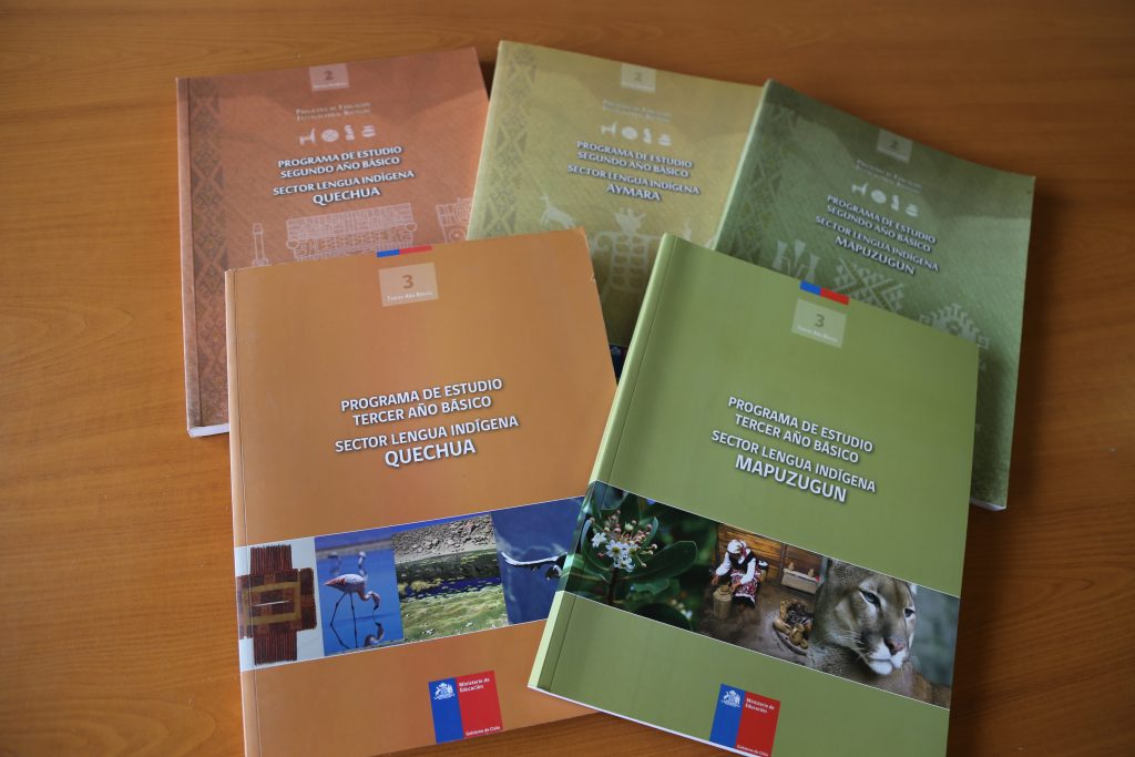 Programa de estudio – Portal de Educación Intercultural